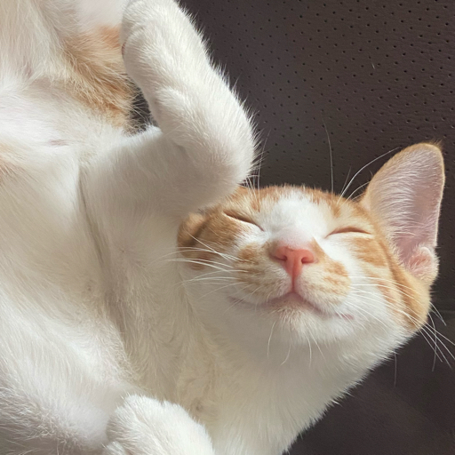 不那么肝的老肝妈 