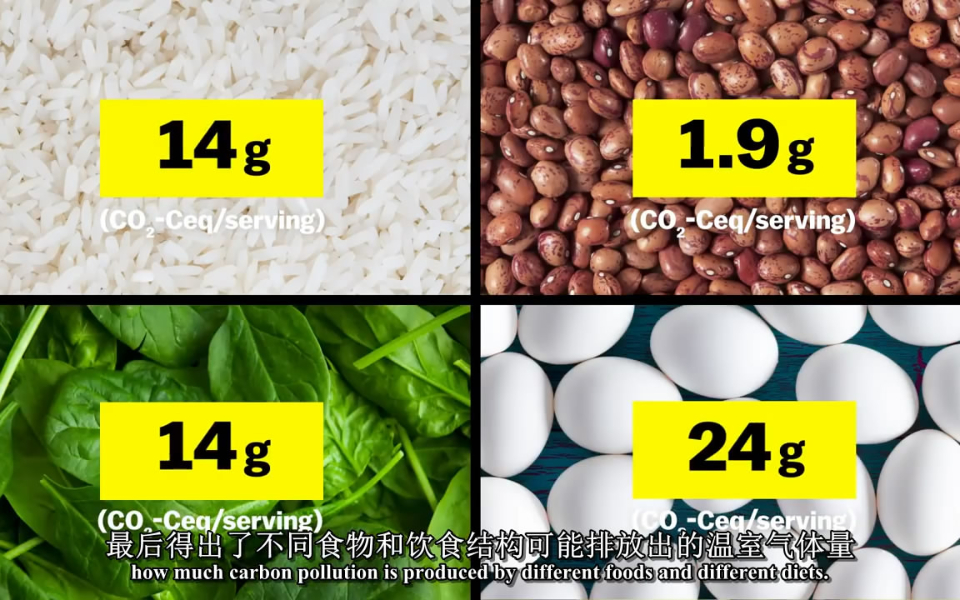 【双语】饮食对气候变化的影响@阿尔法小分队科教组