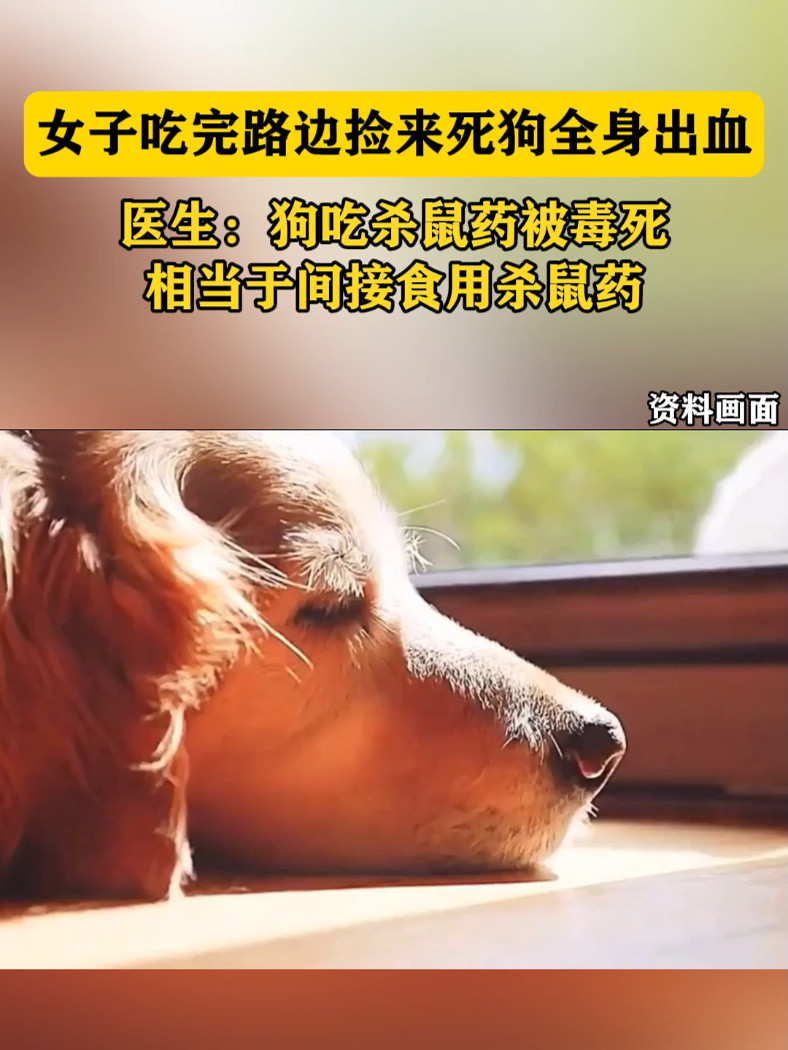 狗吃杀鼠药被毒死,相当于间接食用杀鼠药