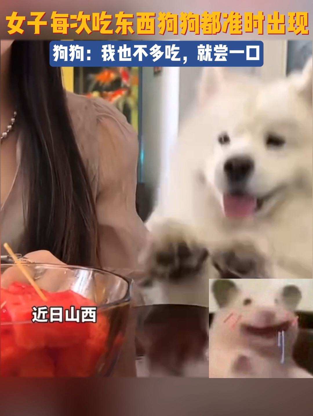 任何时间,任何地点,贪吃大白准时出现