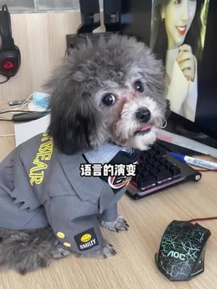 语言的演变#搞笑视频 #专治不开心 #行不行啊细狗