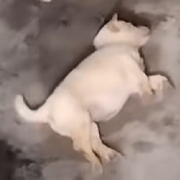 亚超星系团 