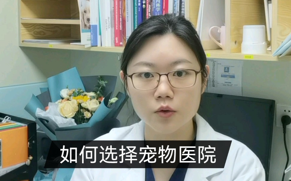 如何选择宠物医院?关注我让你少去医院交智商税!
