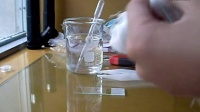 ★小米的生物课=第七课★~芦荟切片与制作玻片标本~