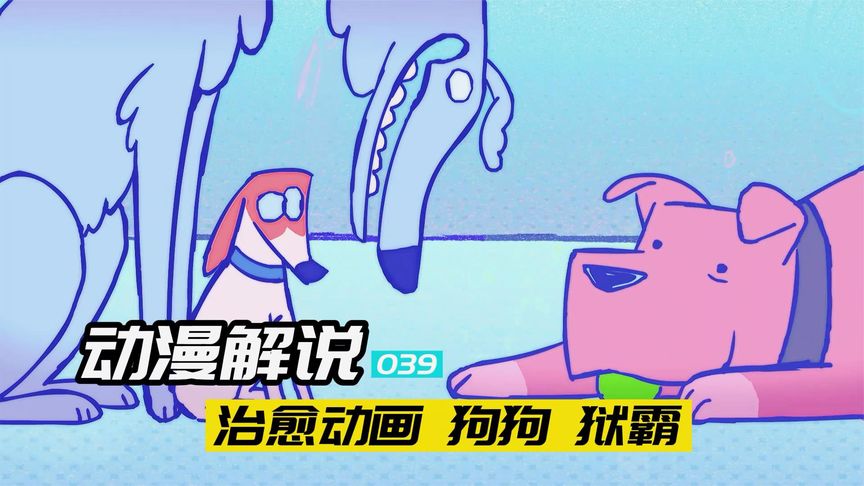 宠物温馨治愈动画,狗狗在主人怀里温存,下一秒就被“狱霸”欺凌