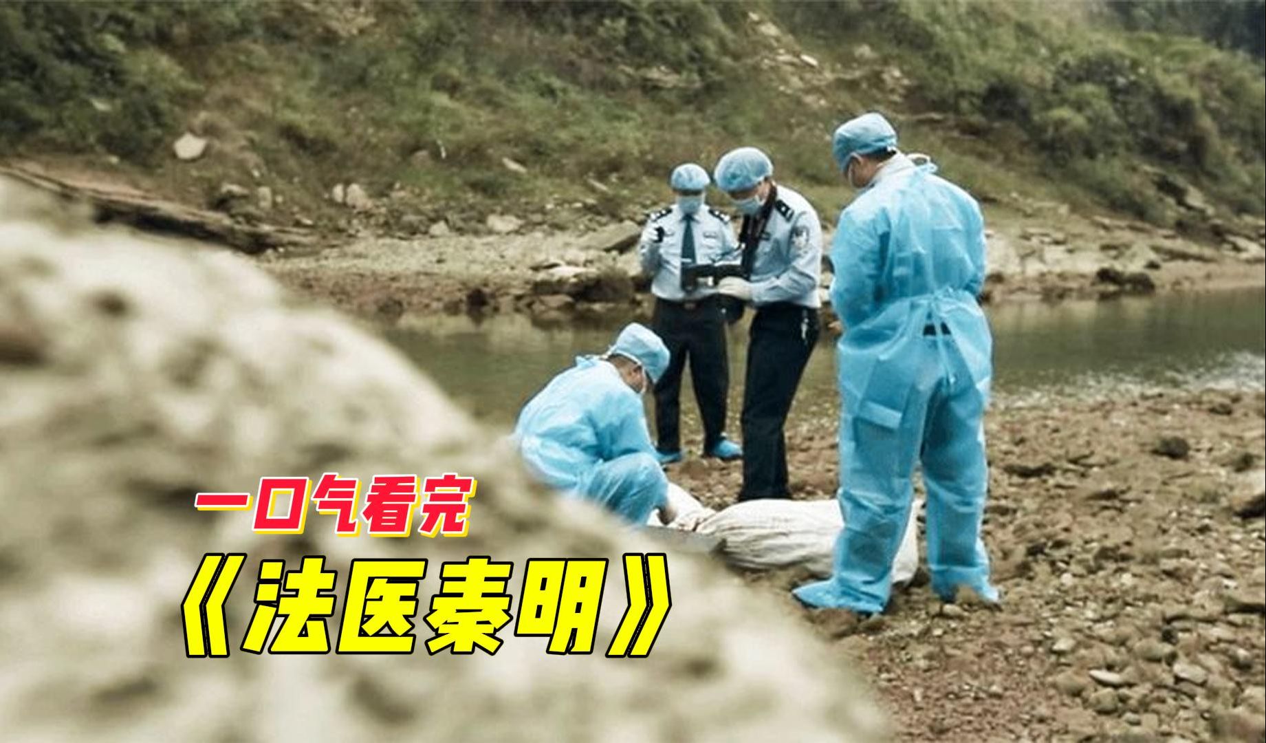 一口气刷完《法医秦明》