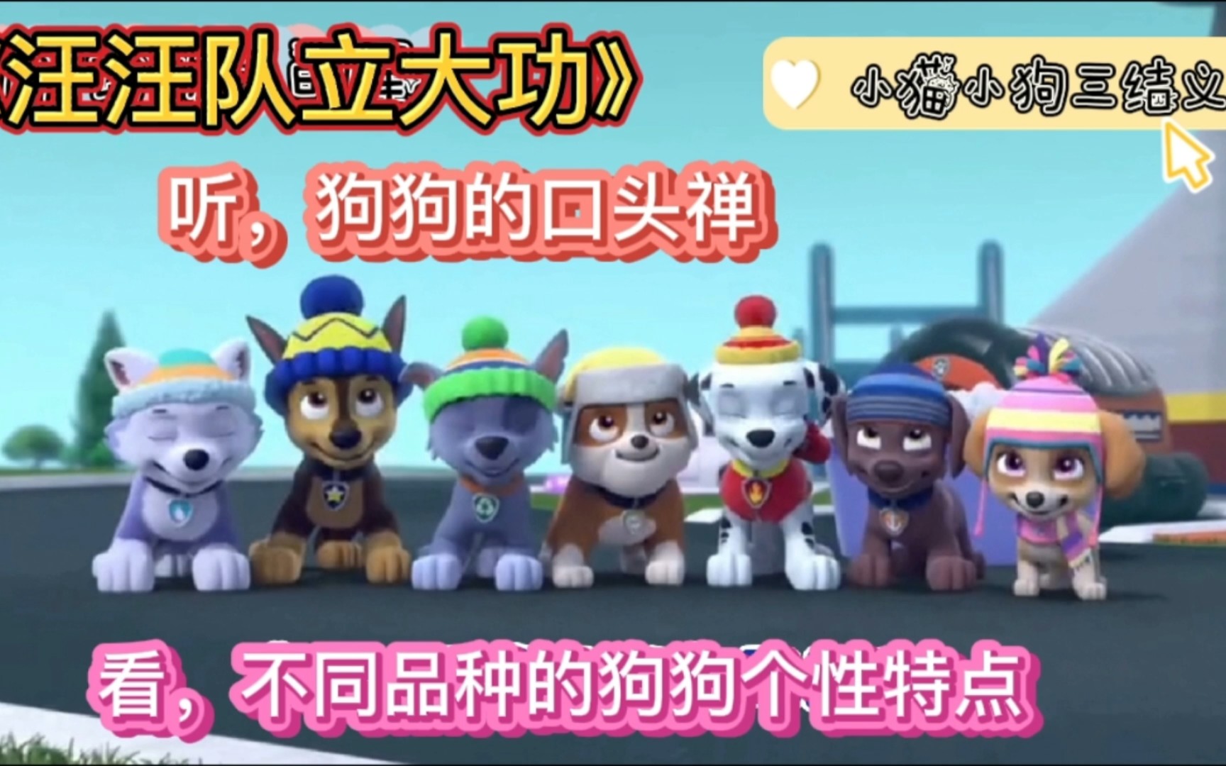 《汪汪队立大功》动画片,从狗狗的口头禅,看不同狗狗的个性特点