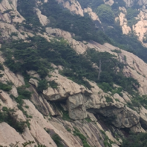 承接注浆加固工程 