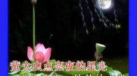 荷塘月色 视频mv