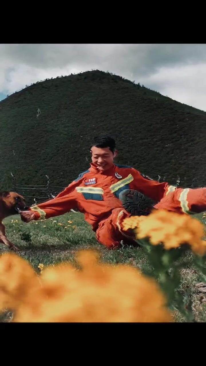 谁会拒绝一只会“养人”的搜救犬呢?#搜救犬的日常#蓝朋友