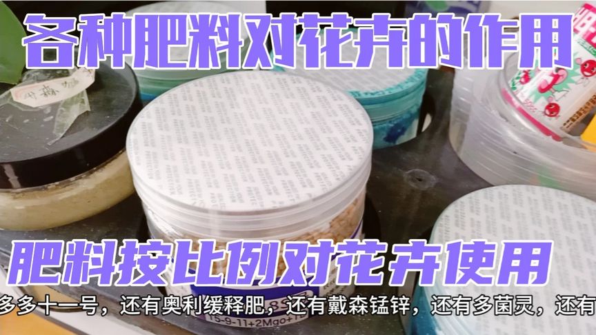 各种肥料对花卉的作用,肥料按比例对花卉使用,对你有用,点赞,