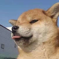 小颖搞笑 