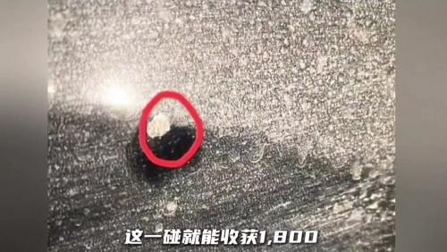 新能源电动汽车的"哨兵模式",到底是节能还是耗电?