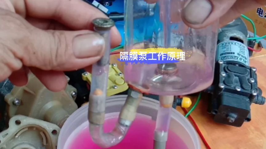 #电动喷雾器#隔膜泵的工作原理