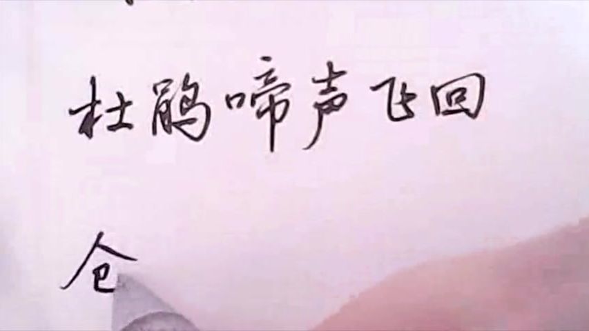 硬笔行书抄诗《唤客情不归》,好诗!好字!