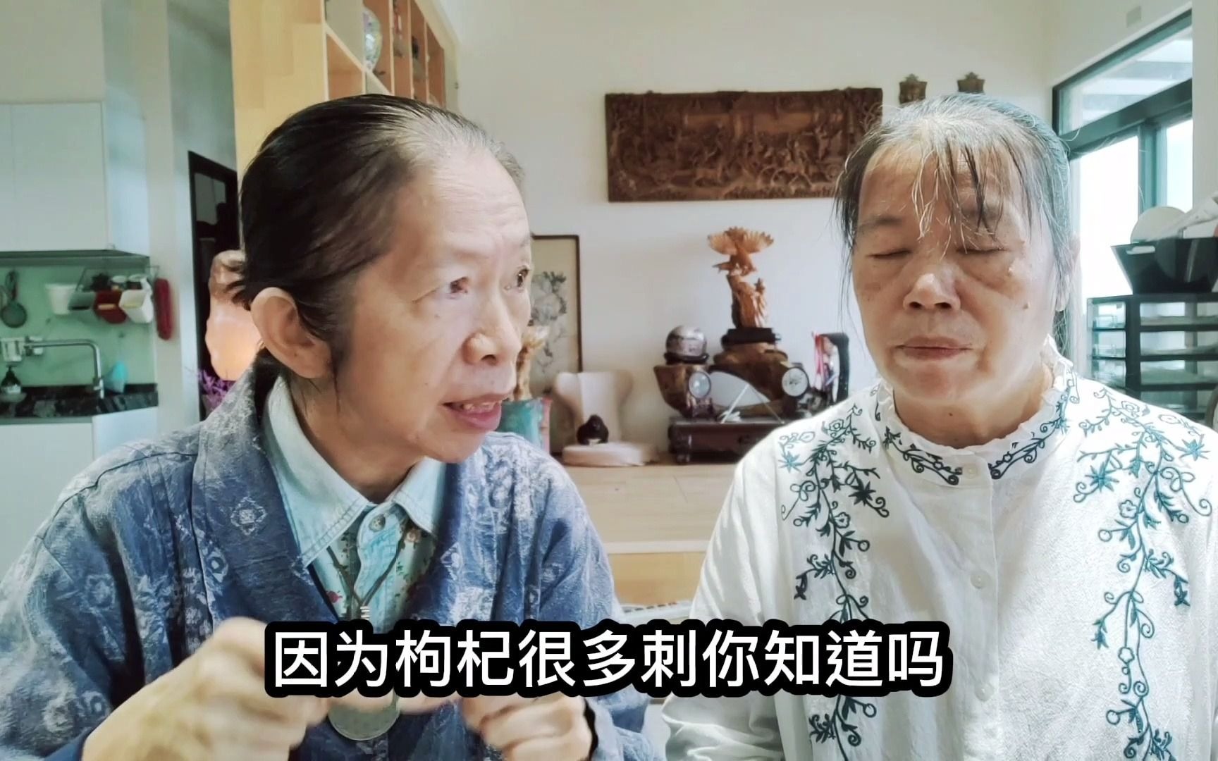 珍贵的青海枸杞