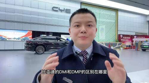 比亚迪dmi和dmp的区别分别适合什么人购买