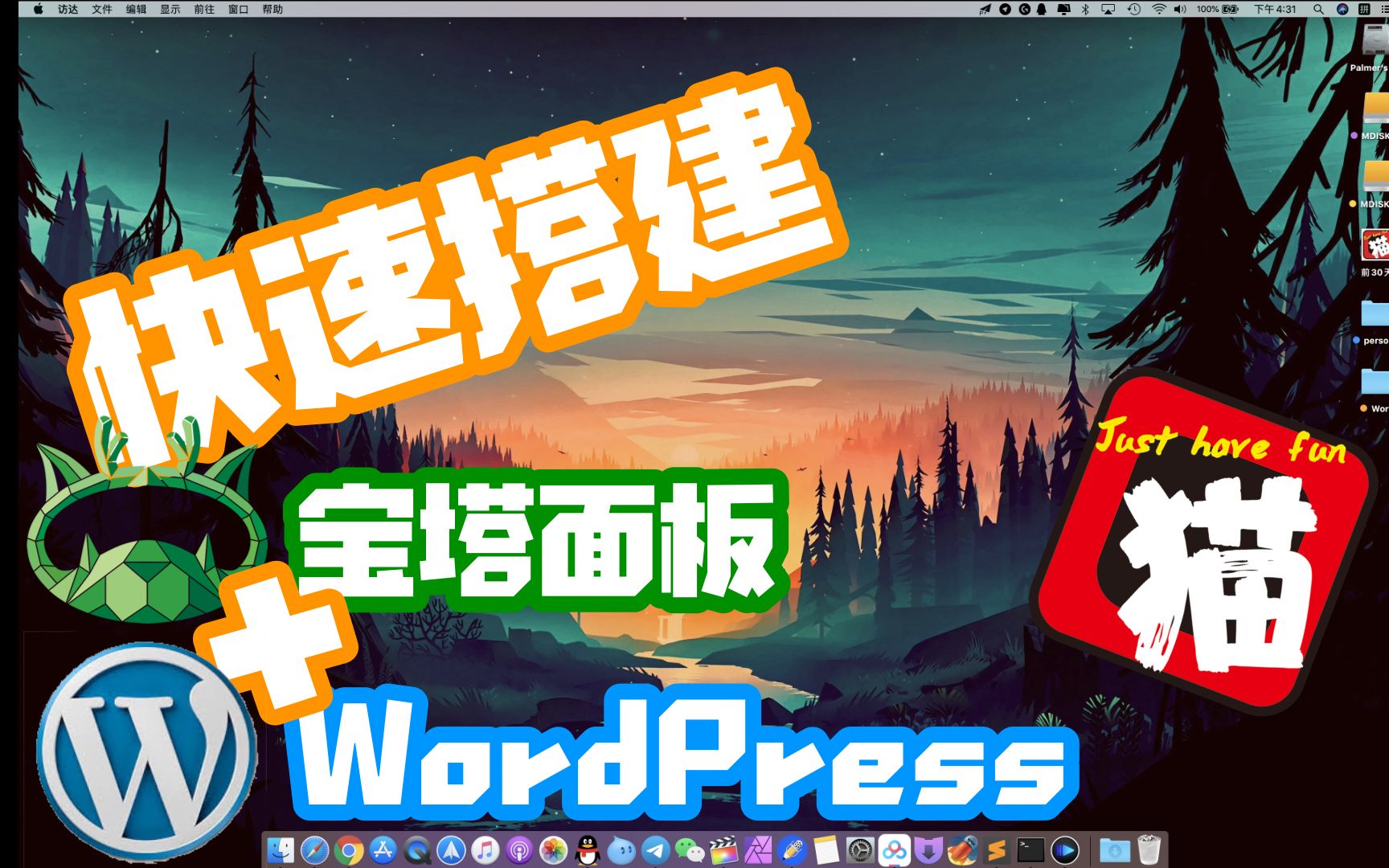 【翻车视频】如何通过宝塔面板在自己的VPS上快速搭建WordPress程序