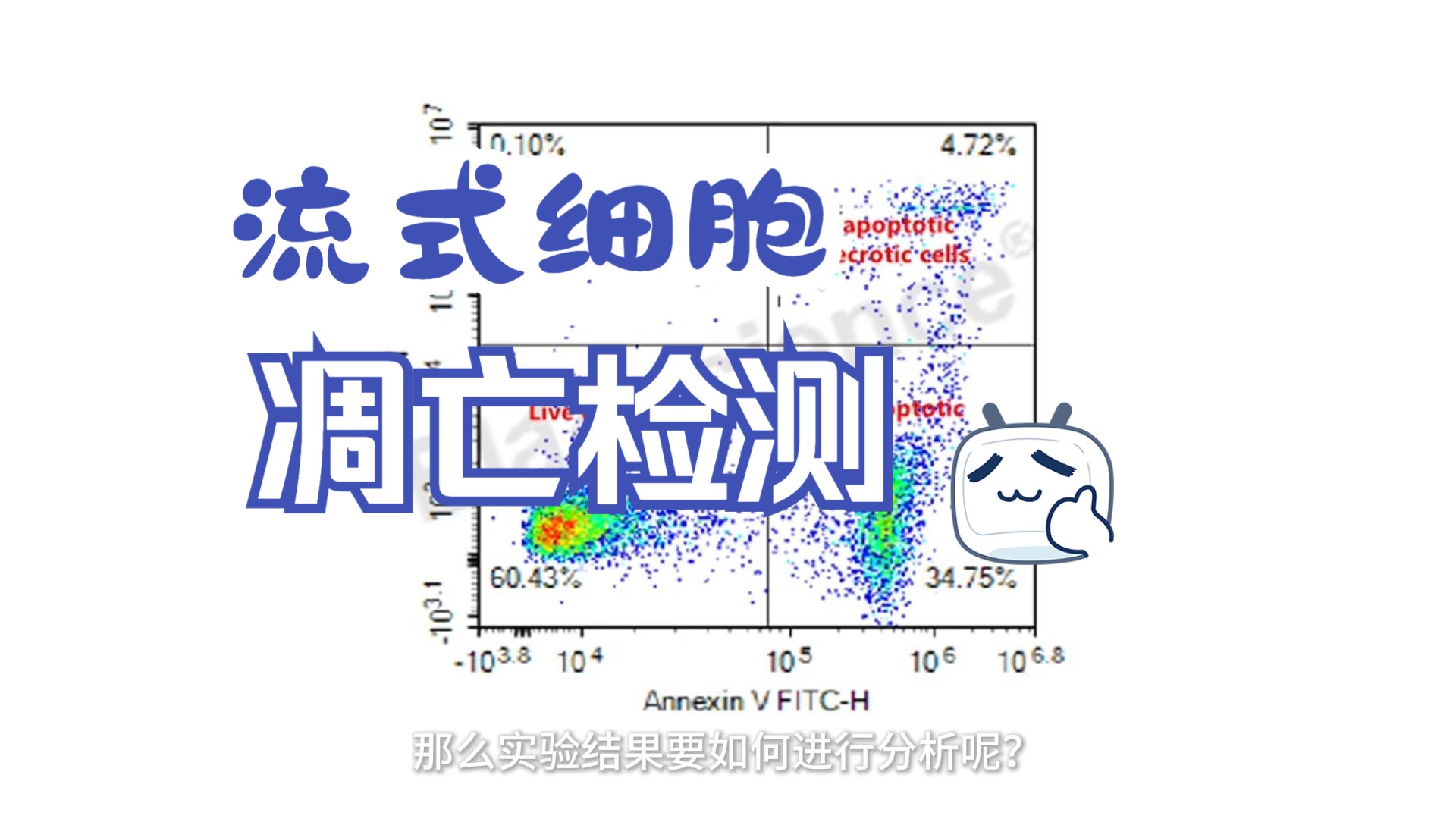 如何进行流式细胞凋亡检测