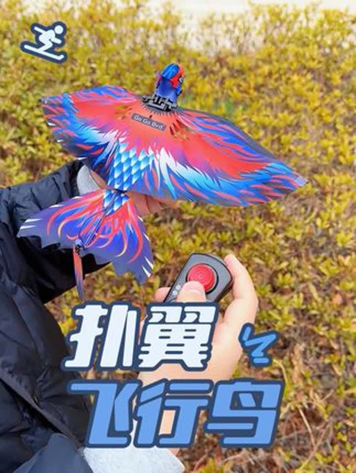 ...这款扑翼飞行鸟,操作简单孩子爱玩,锻炼孩子视觉追踪!#扑翼飞行器