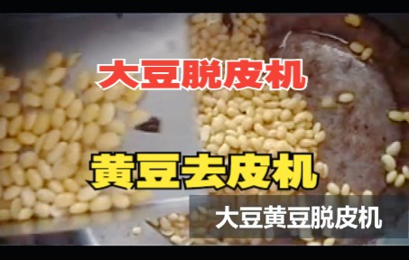 大豆脱皮机怎样去皮?黄豆去皮机剥皮原理是什么?介绍一款大豆湿法...