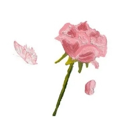 此处暂停更新 