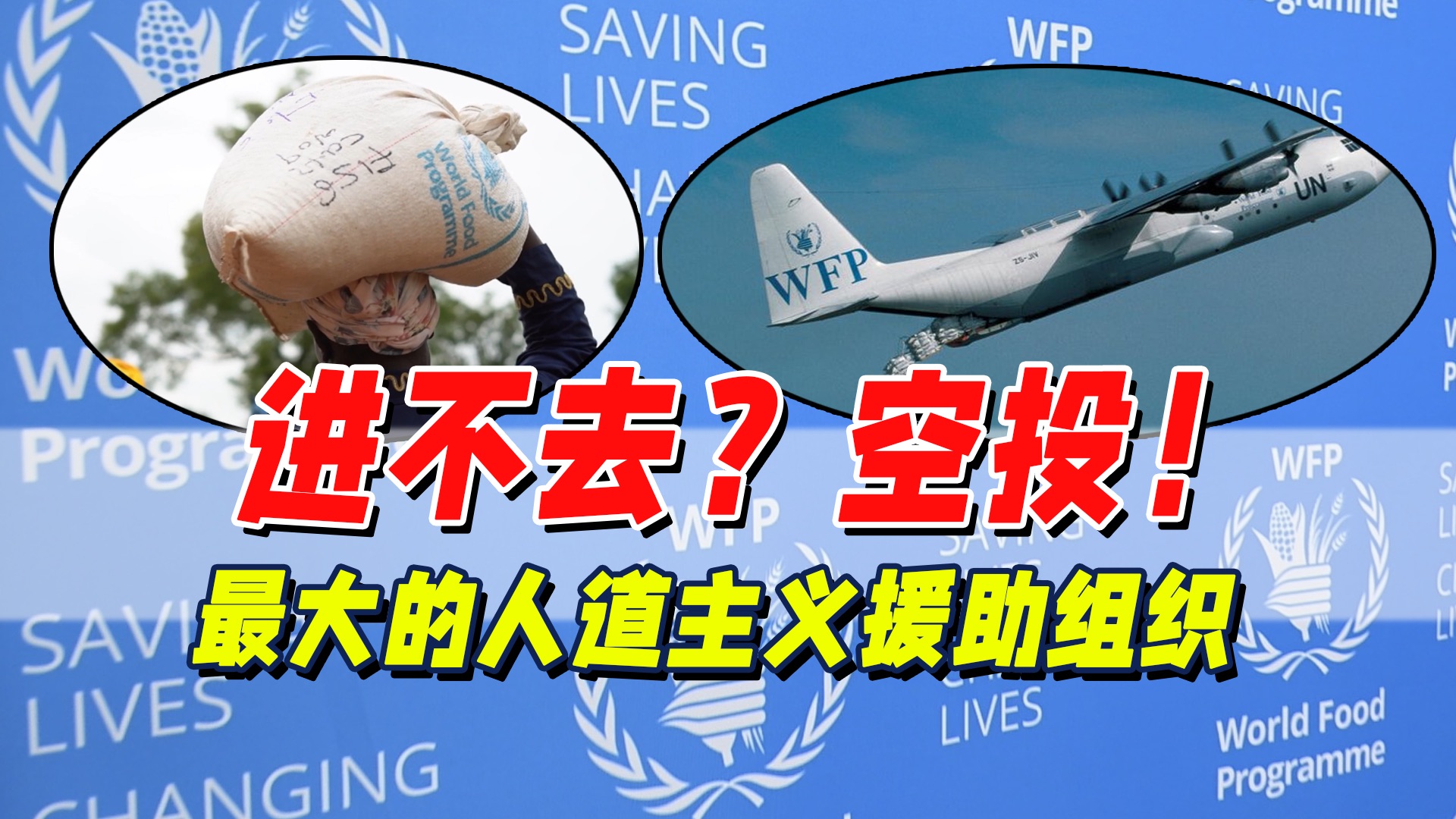 世界粮食日:全球有多少人吃不饱饭?探店联合国世界粮食计划署