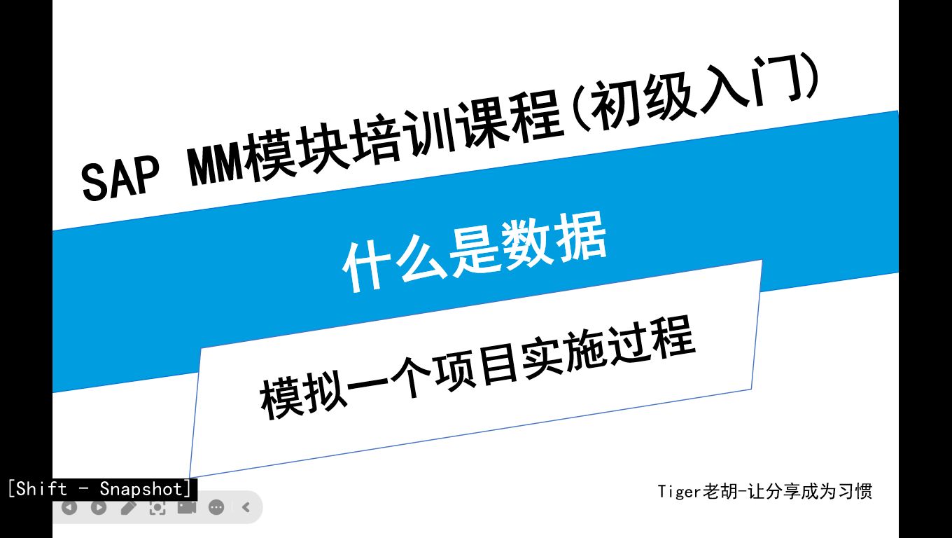 模拟一个SAP项目-什么是数据