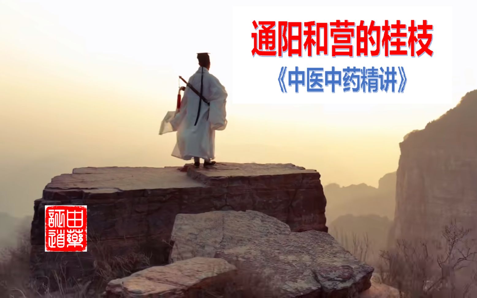 通阳和营的桂枝 下