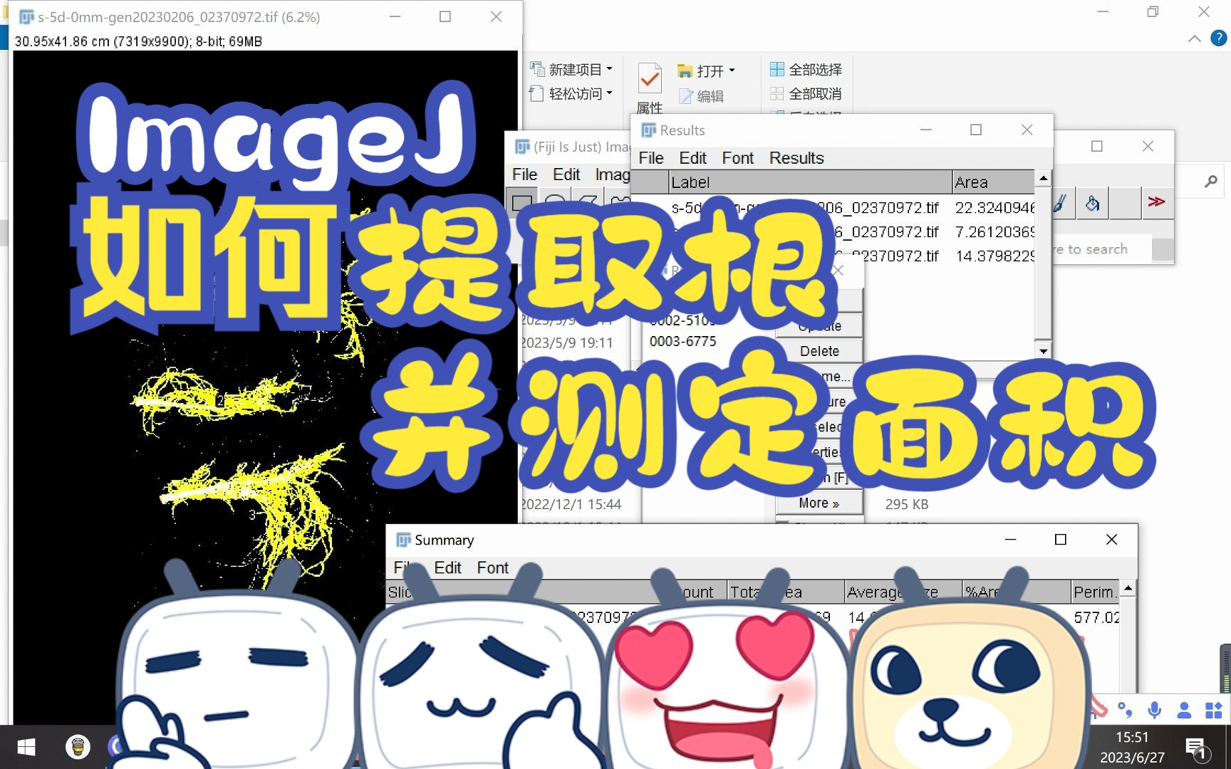 ImageJ根系提取及面积测定