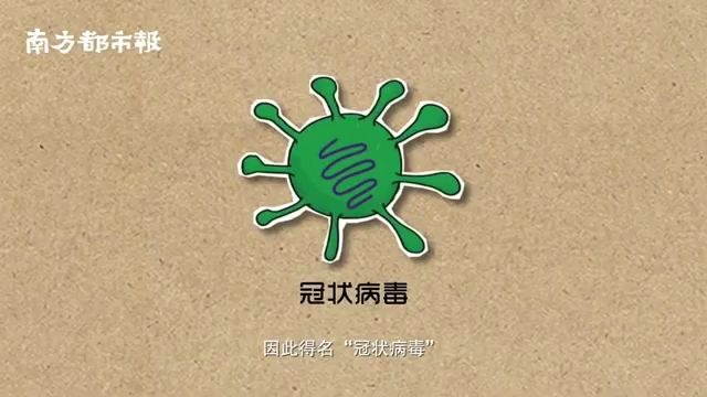 冠状病毒是什么,冠状病毒科普
