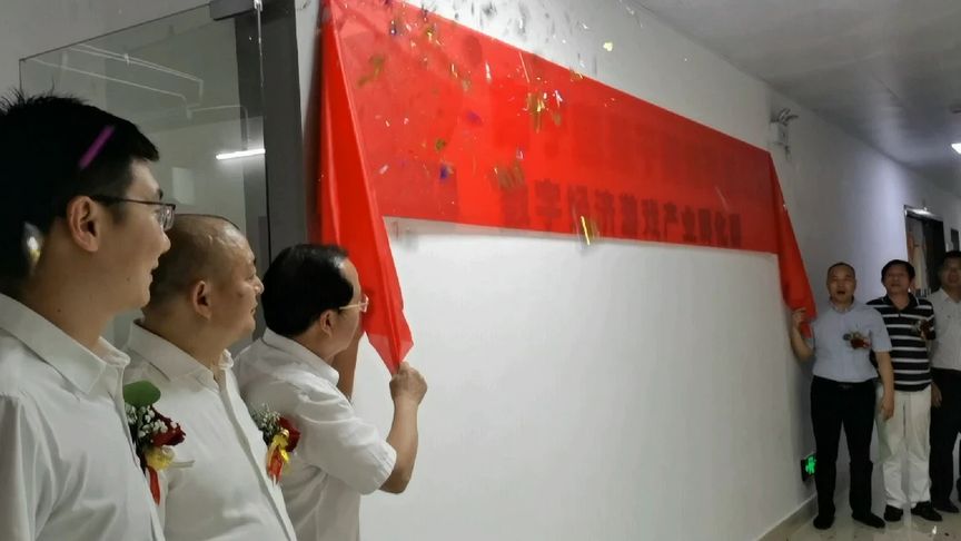共同富裕,大力支持小微企业抱团发展,数字经济游戏产业联盟
