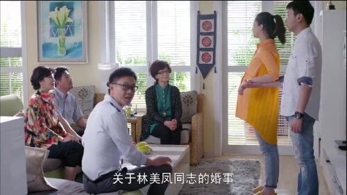 为了婆婆的婚礼和腹中的孩子,女儿召开家庭会议,人多就是好办事