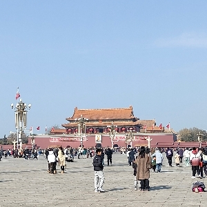 猪八戒向山举目 