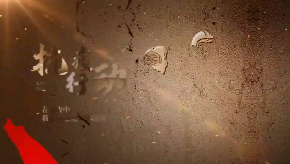 你的样子,就是中国的模样