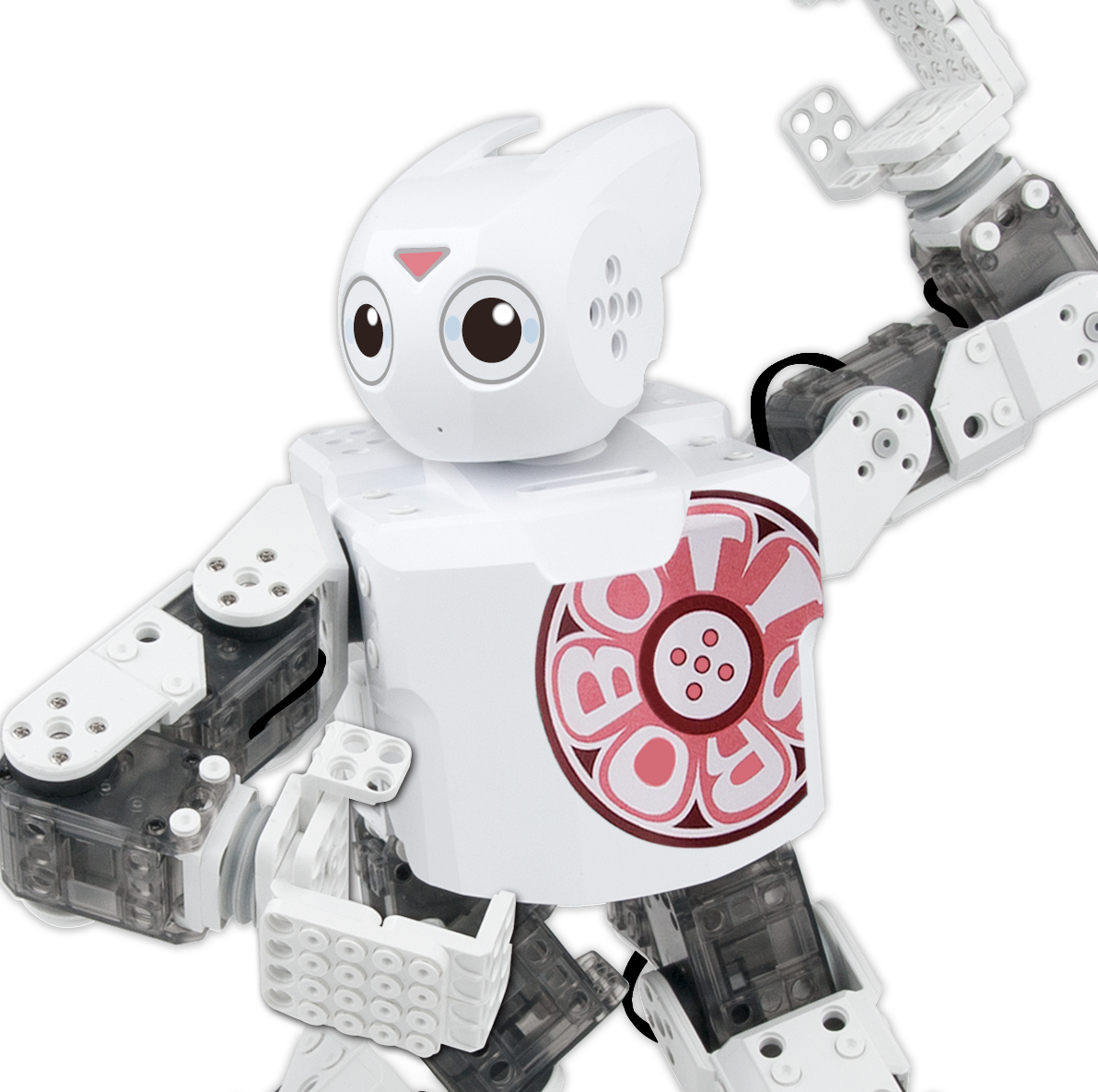 ROBOTISCHINA 