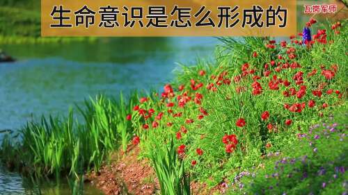 生命意识模型是怎么形成的?