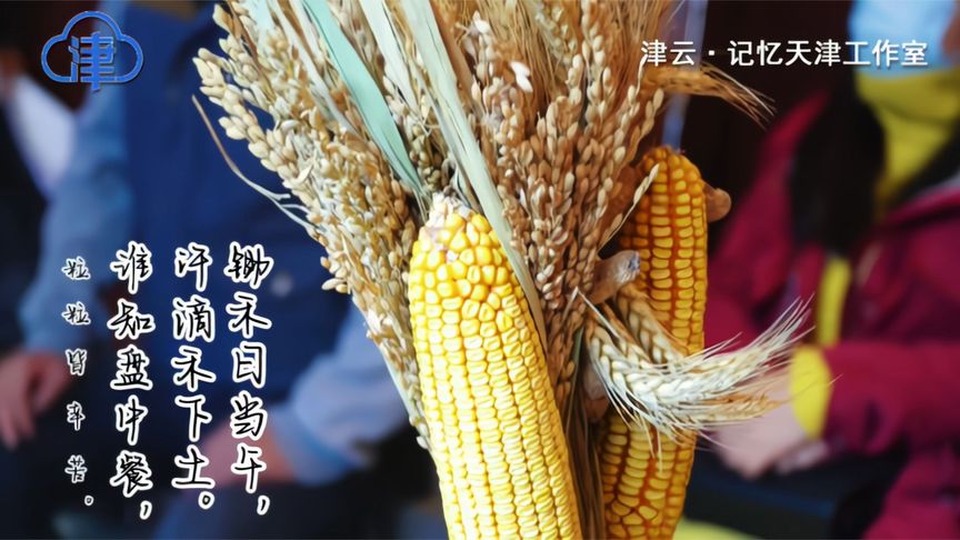 “珍惜粮食,勤俭节约”传承良好家风