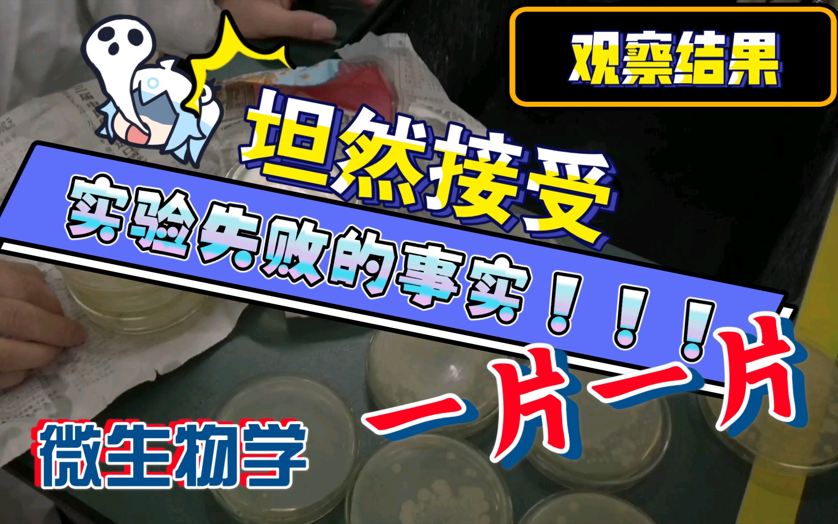 【微生物学】一片一片:平板菌落计数 之 观察实验结果并计数(坦然接受...