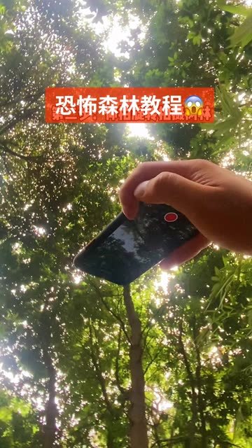 恐怖森林教程来了,你学会了吗?