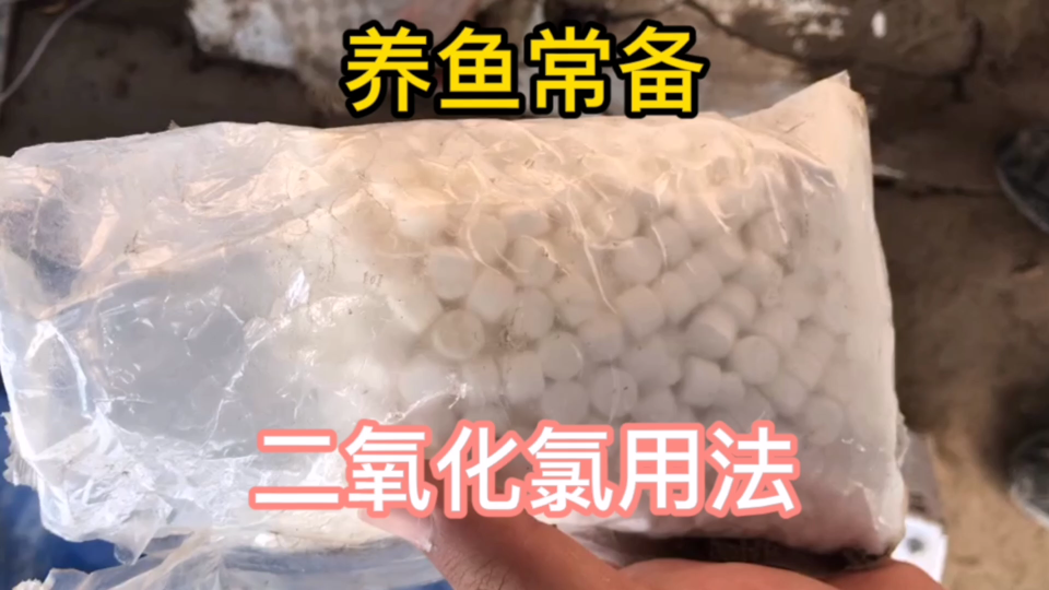 兰寿金鱼观赏鱼最安全的杀菌检疫药二氧化氯用法