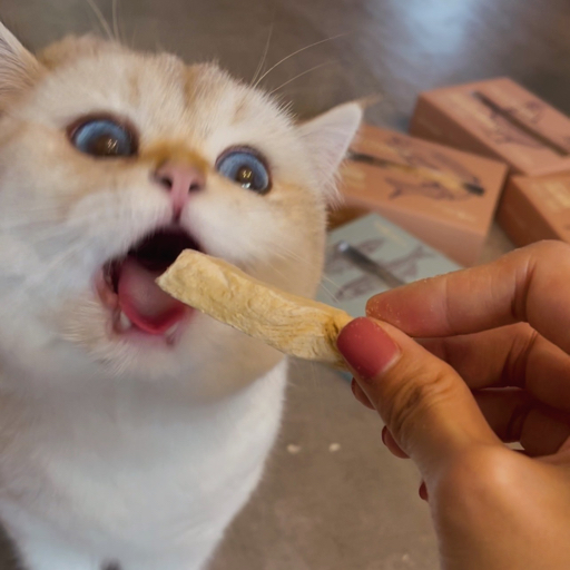有三只猪的S 