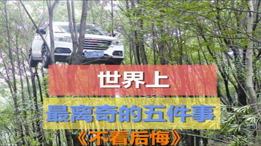 世界上最离奇的五大事件,好像确实是这么回事!