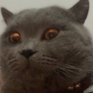 故事总发生在雨天 