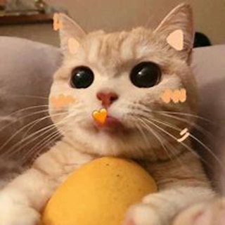 老杨搞笑121 