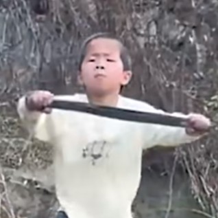 母猫是不能旅行的 