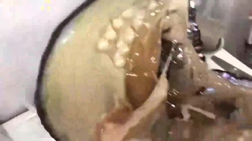 珍珠其实是蚌的“结石”?并非自然生成,而是蚌的死亡结果!
