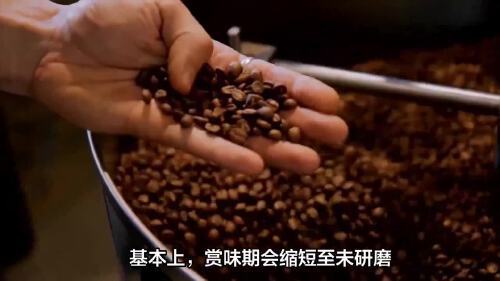咖啡豆在研磨以后要如何存储?咖啡粉存放使用需要注意什么?