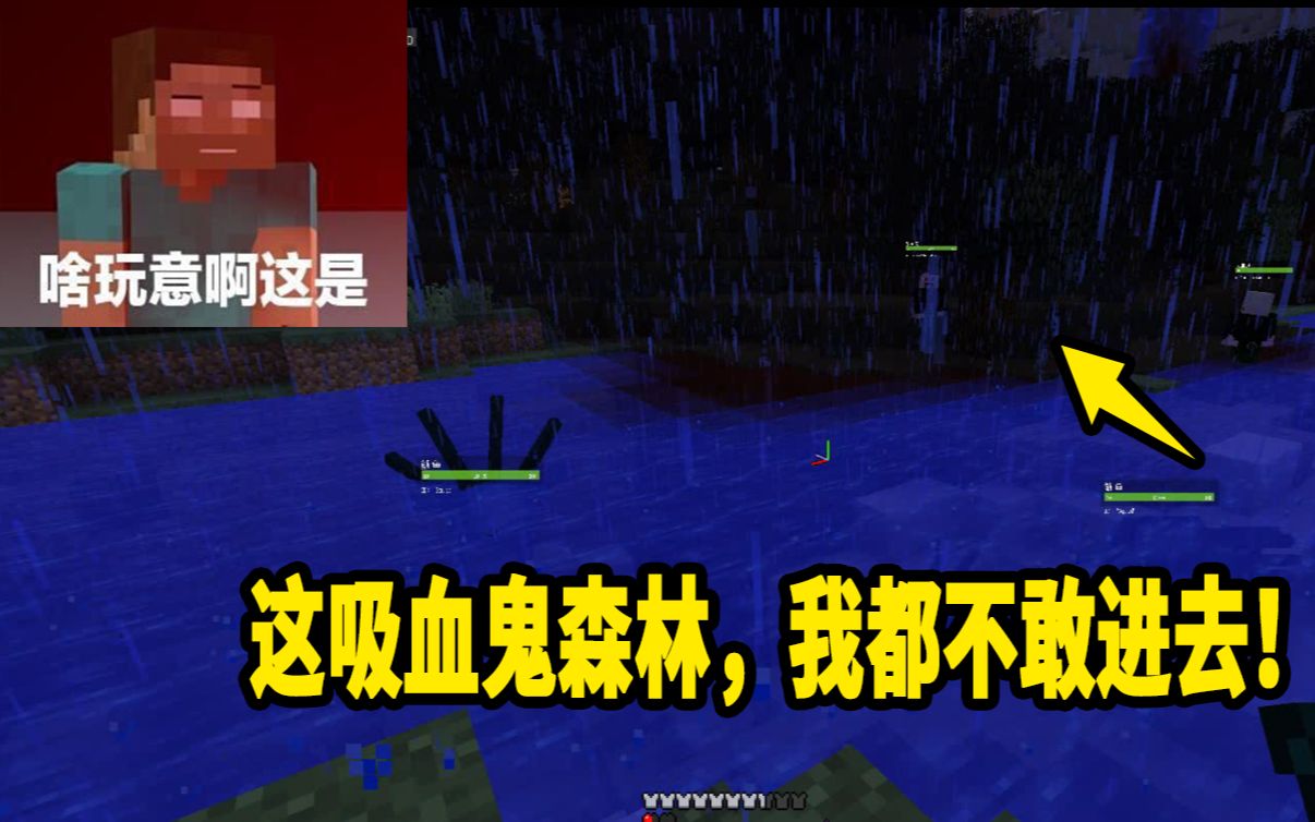 我的世界吸血鬼生存15:丢下小雪,来到吸血鬼天堂——吸血鬼森林