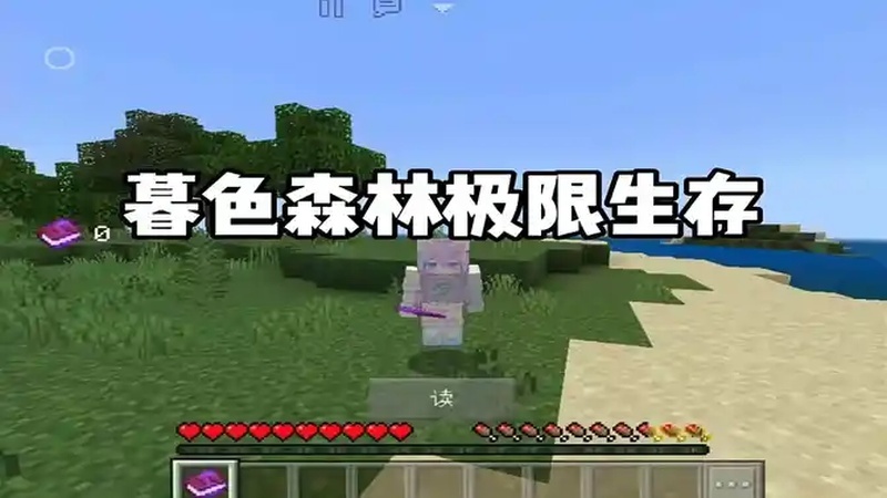 我的世界游戏:暮色森林极限生存1